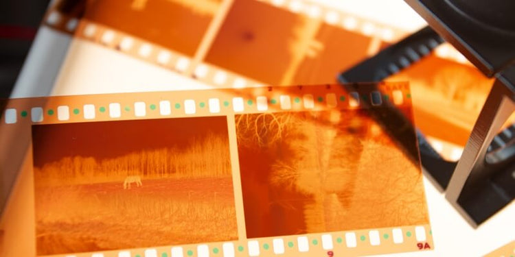 Negatives to Digital - Scan Negatives to Digital Photos | Capture